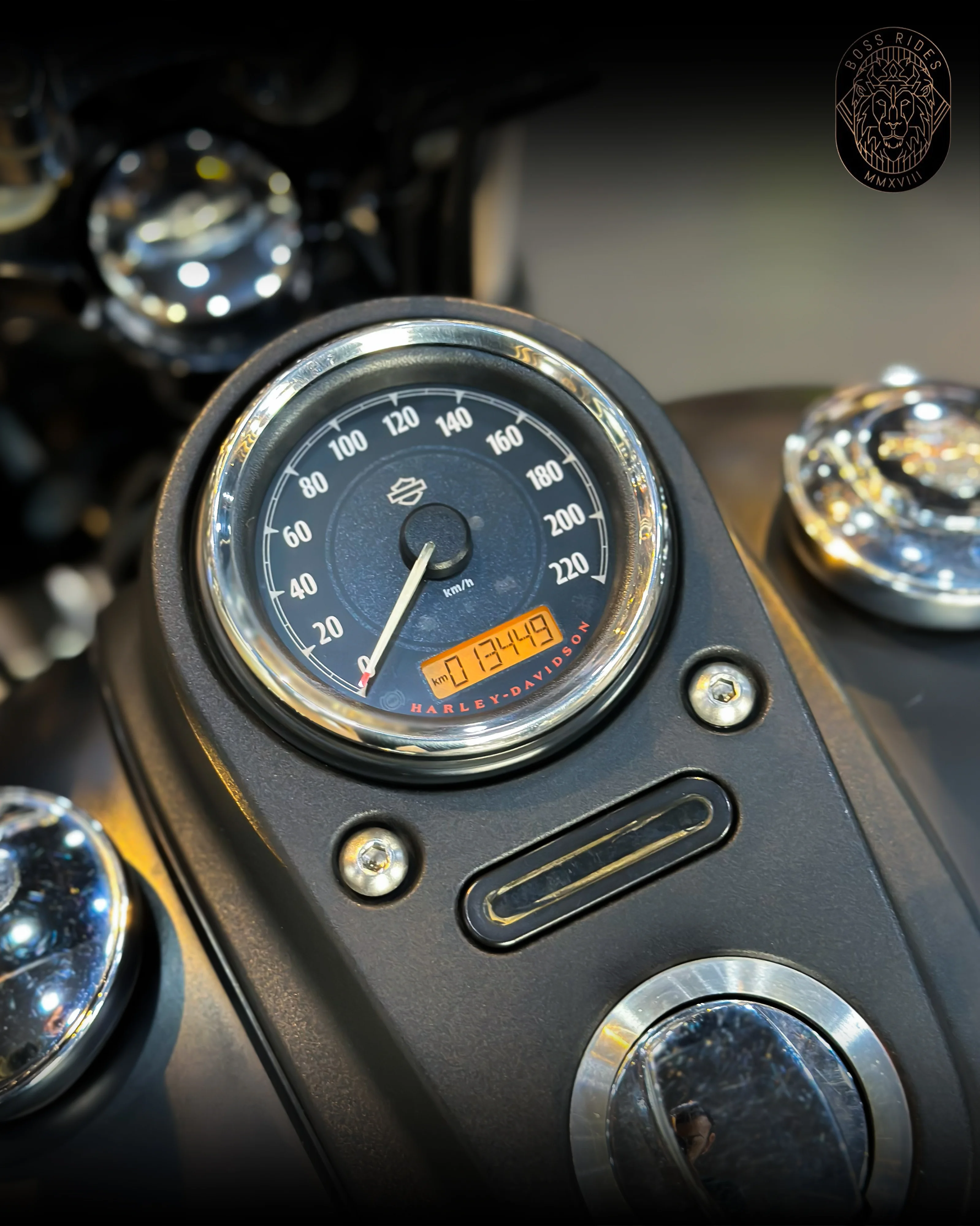 HARLEY DAVIDSON STREET BOB - Boss Ride